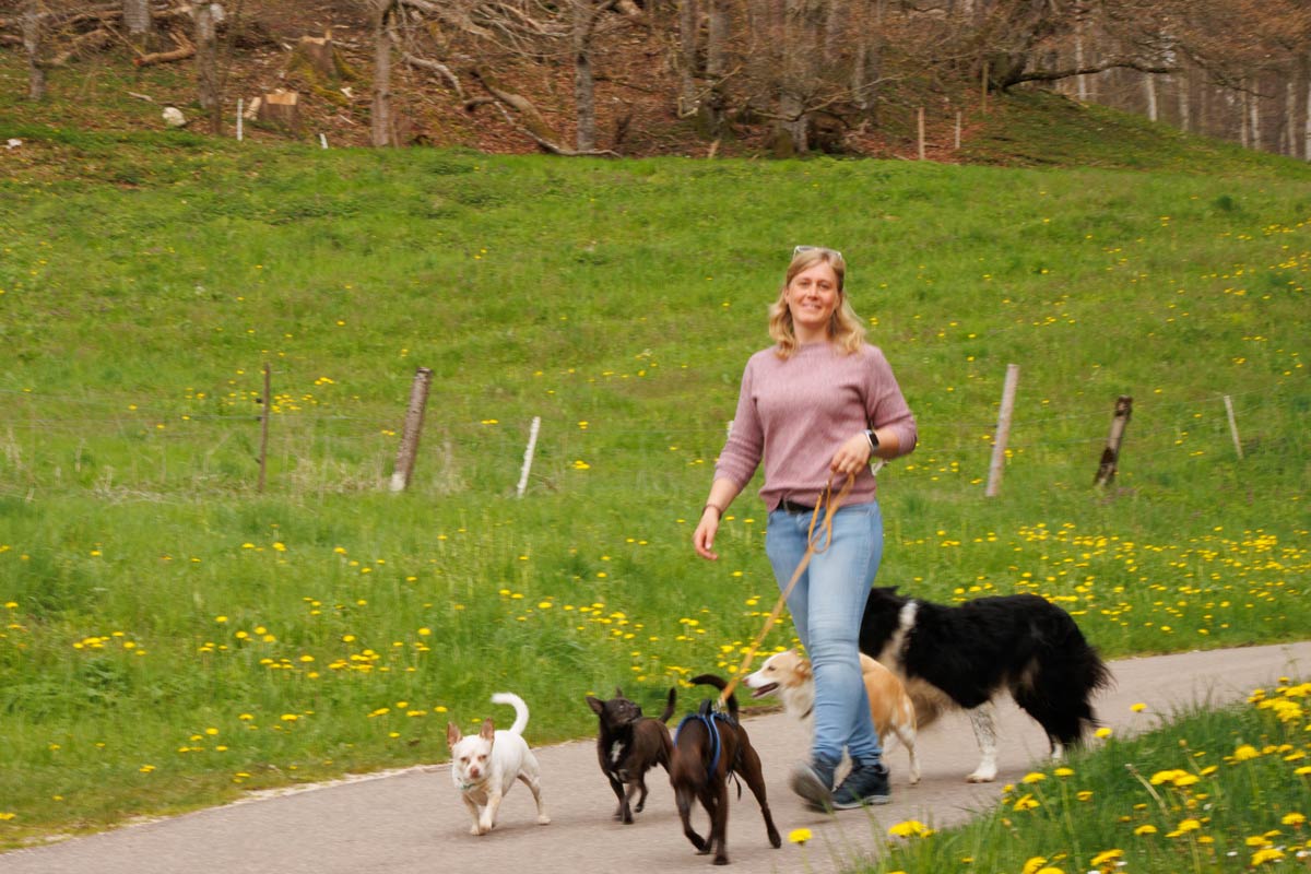 Über uns | Dog Team Alb Hundeschule